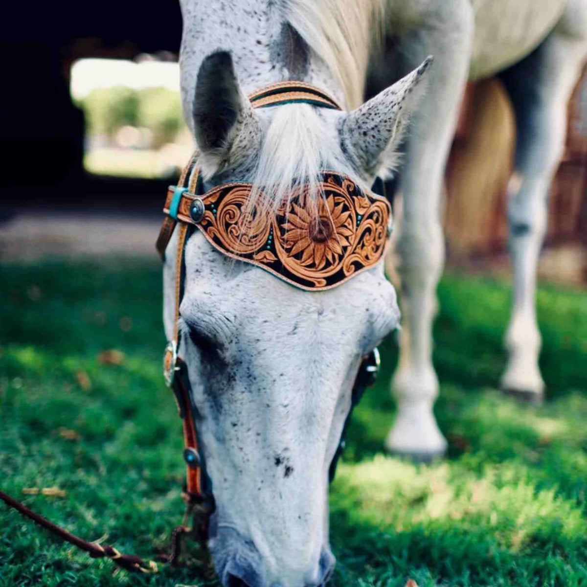 Horse Tack Paper Pattern | identityleathercraft